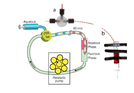 Catalysis in Continuous Flow - Macmillan Group
