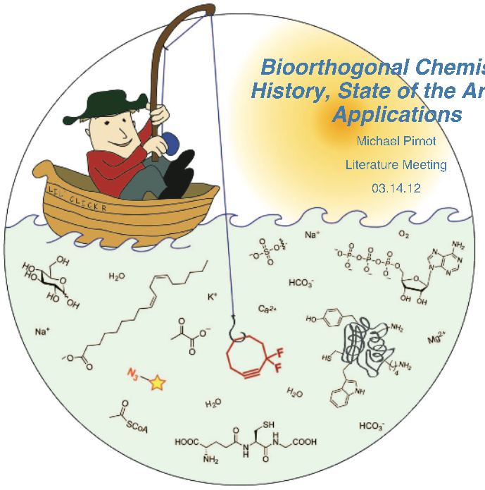 Bioorthogonal Chemistry: History, State of the Art, and Applications ...