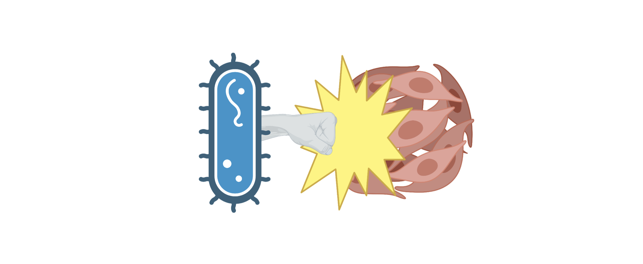 Bacterial Anticancer Therapy - Macmillan Group