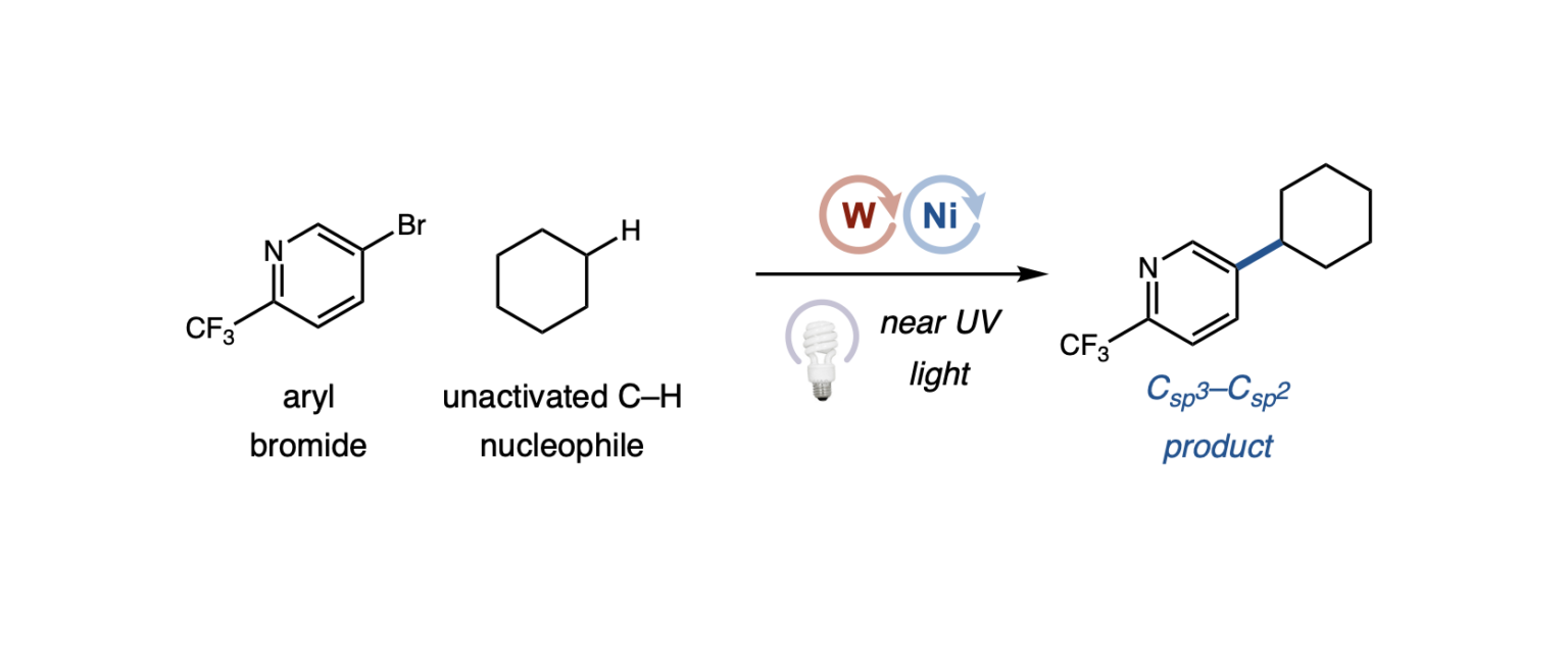 Photoredox/Merck - Macmillan Group