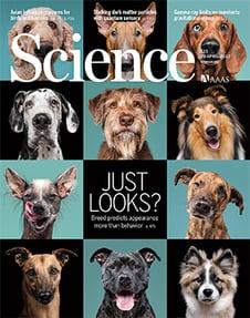 Science 2022, 376, 532–539 - Macmillan Group