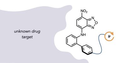 target identification - Macmillan Group